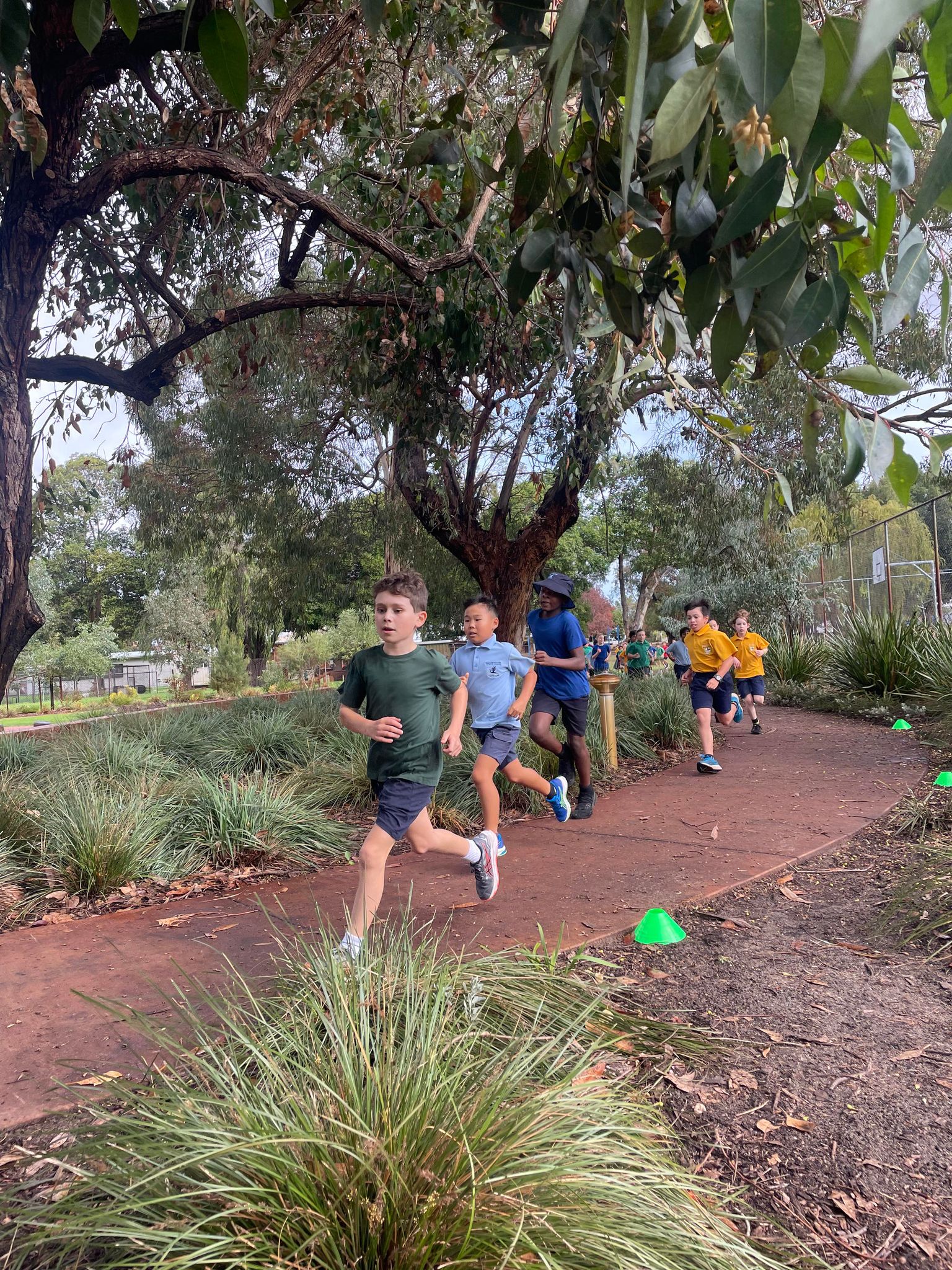 Faction Cross Country Carnival Results MPPS